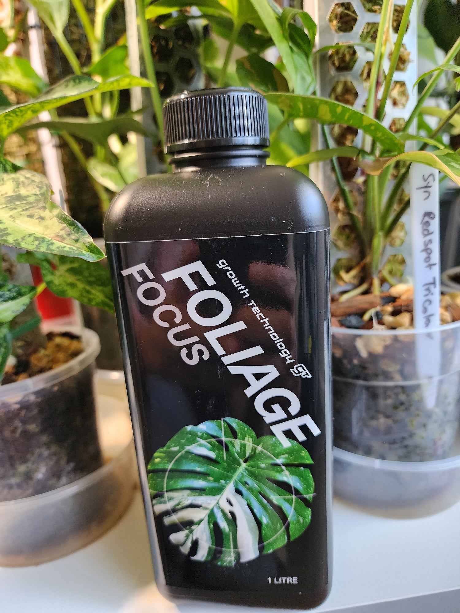 Growth Technology Foliage Focus 1L – Leaf of Faith SA